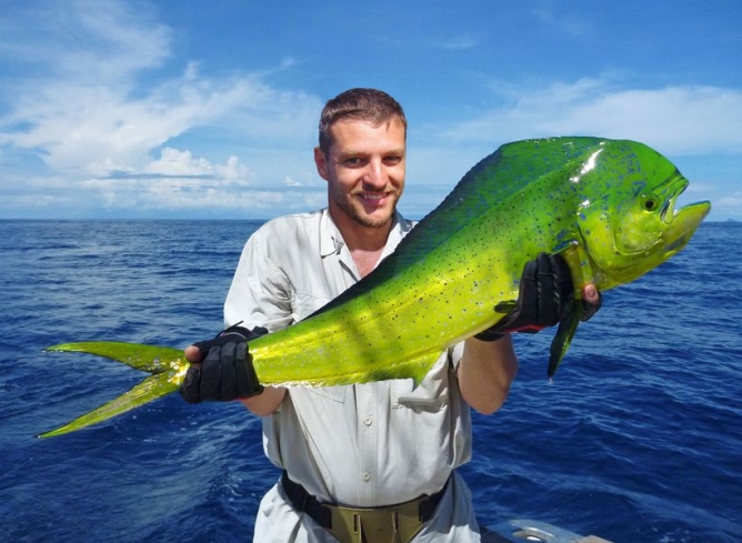 Offshore Sport Fishing - Hotel BOCAS DEL MAR